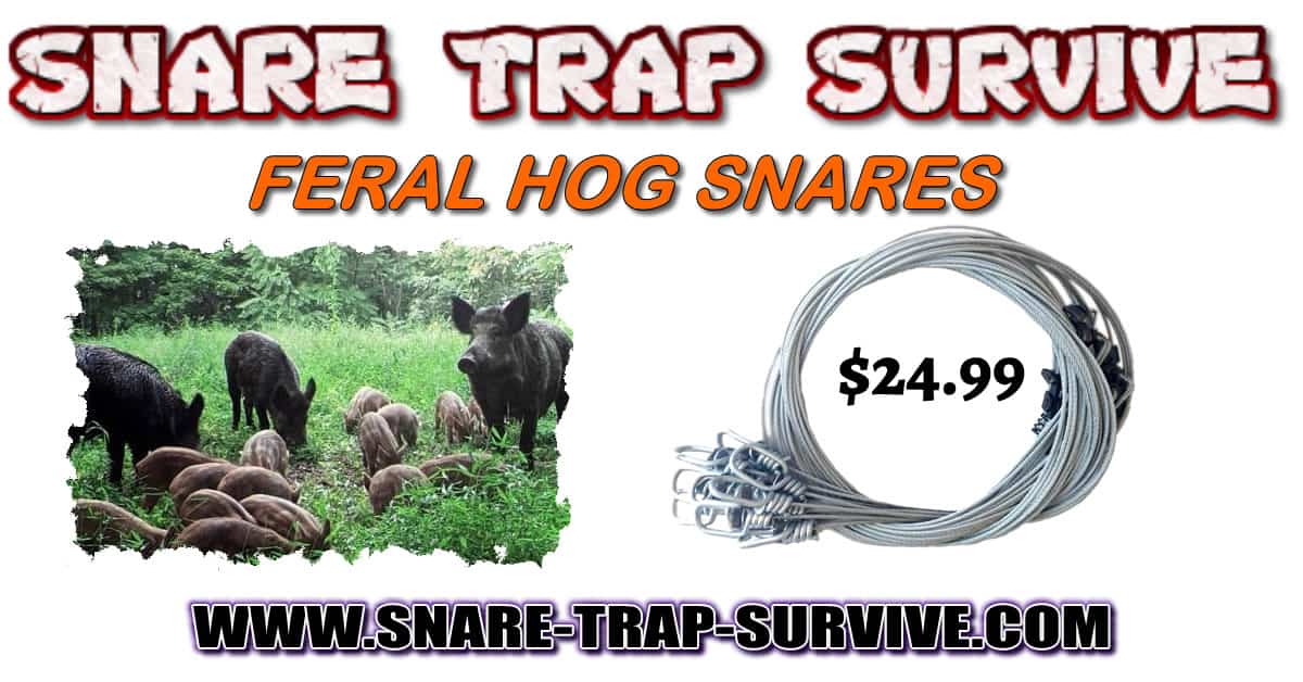 Hog Snares 84 & 120 inch 3/32 HOT survival tool